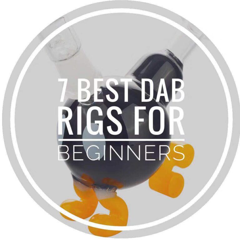 7 Best Dab Rigs for Beginners - Puffing Bird