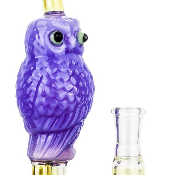 8" Owl Theme Glass Bong - Puffing Bird