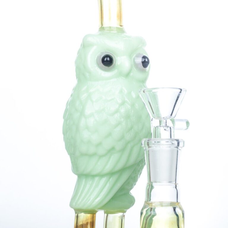 8" Owl Theme Glass Bong - Puffing Bird