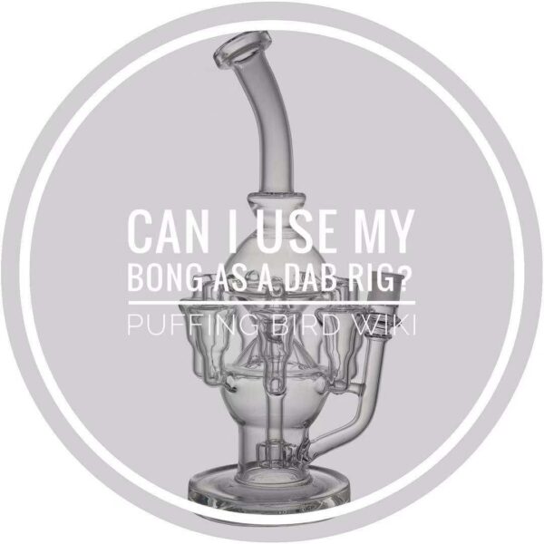 Using Bongs As A Dab Rig To Dab Cannabis Explained | 2022 Update ...