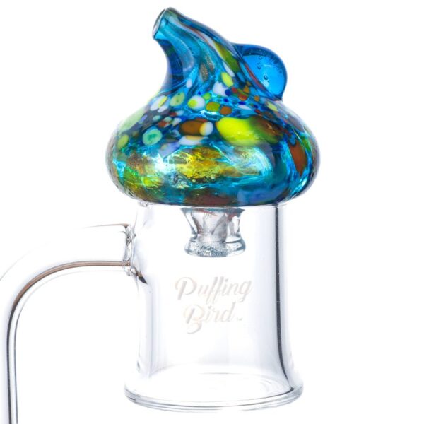 Colorful Cute Carb Cap - Puffing Bird