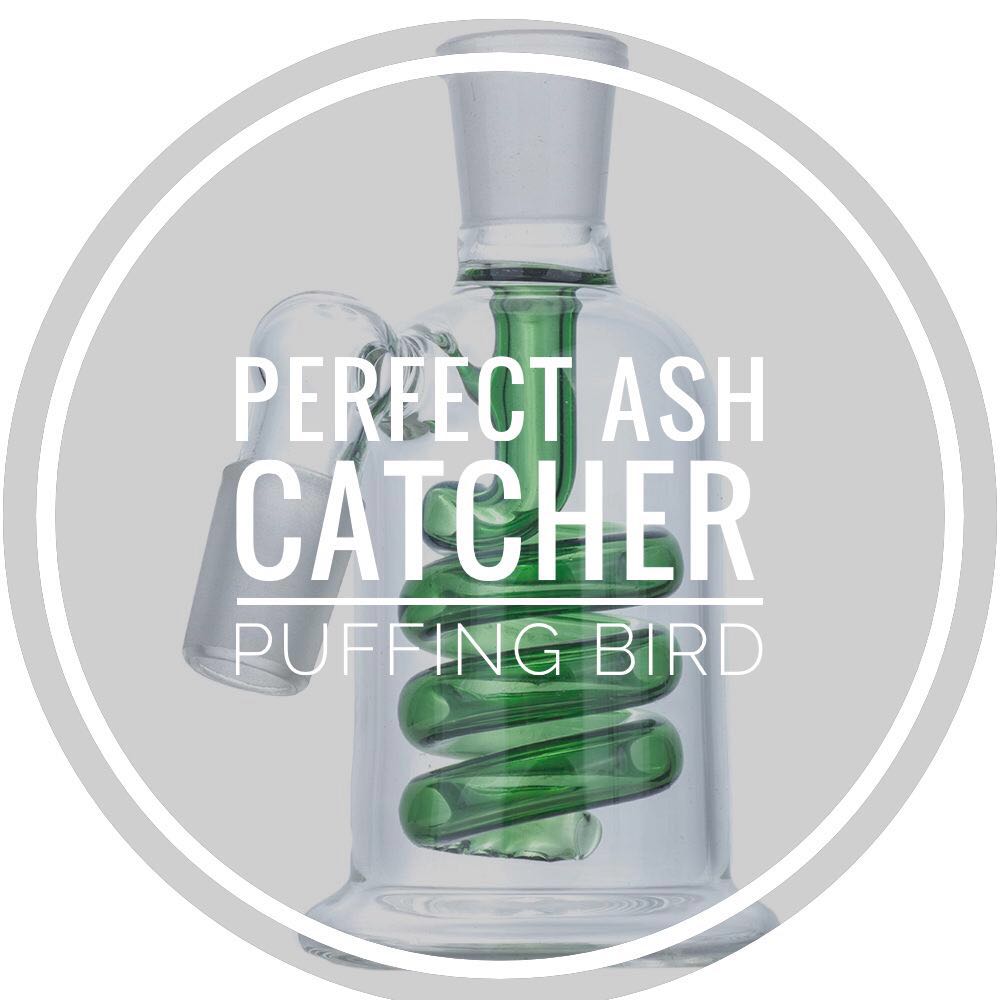 How To Pick The Perfect Ash Catcher For Bongs - Puffing Bird