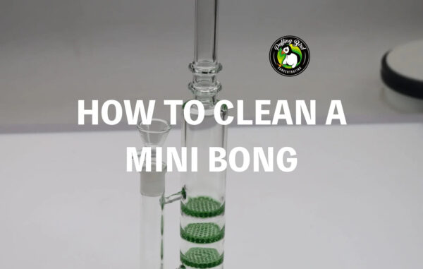 How To Clean A Mini Bong? - Puffing Bird
