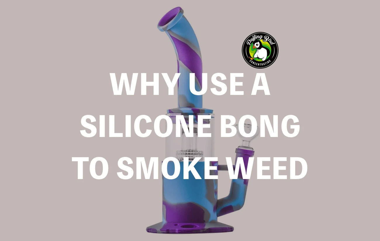 Why use a silicone bong to smoke weed? - Puffing Bird