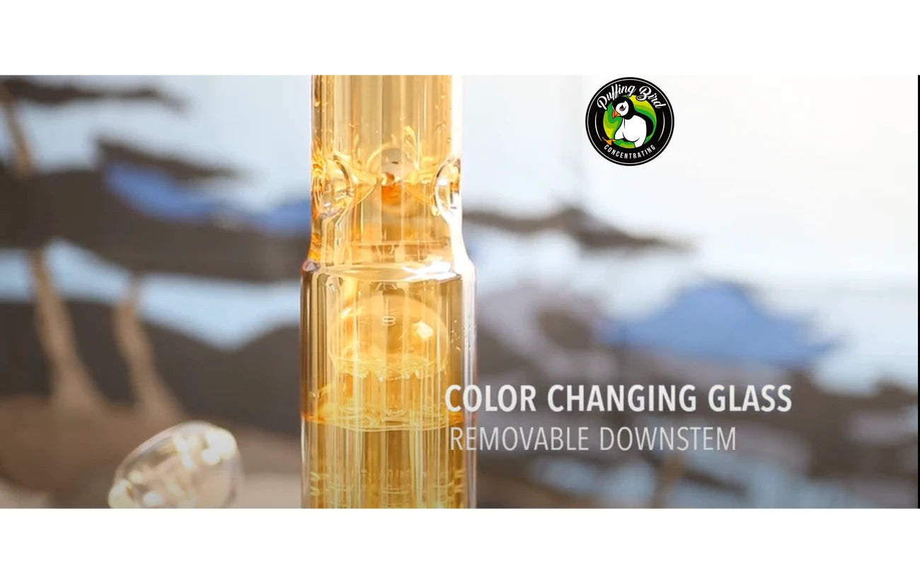 How To Smoke A Bong - Puffing Bird